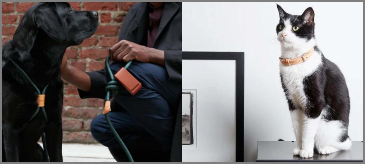 Boo Oh Is a Lifestyle Brand Uniquely Designed to Elevate Ordinary ...