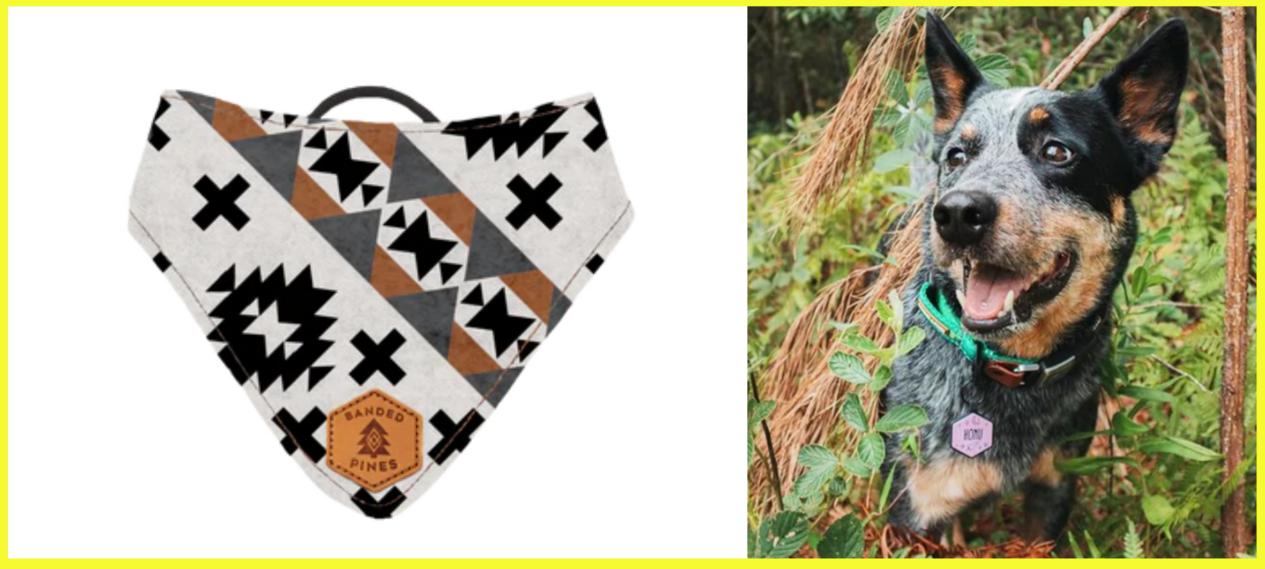 Add A Touch Of Personality To Your Pup's Look With Banded Pines Dog ...